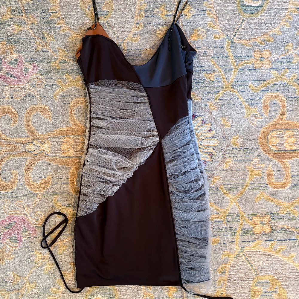 Zara New York City Ballet - Limited Edition Dress - N… - Gem